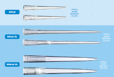 1000 µl XL Graduated Tip / Wide Orifice, Racked