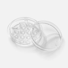 EmbryoGrid Dish